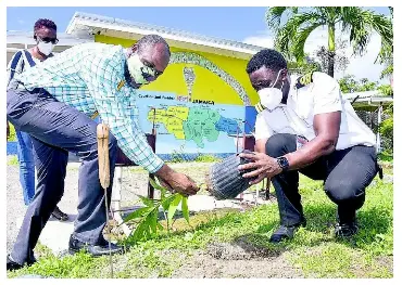 JCA plants trees for Wellness Month - PressReader
