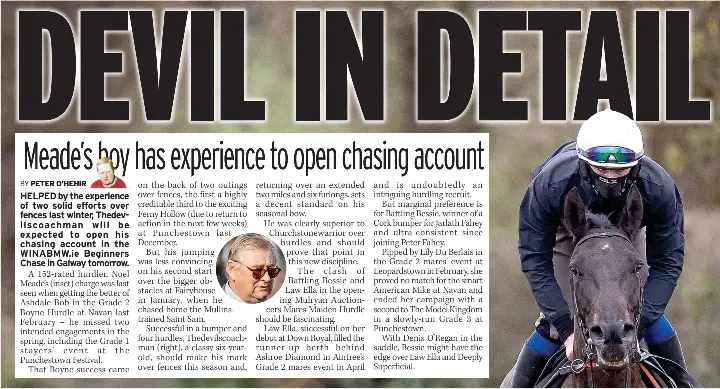 DEVIL IN DETAIL - PressReader