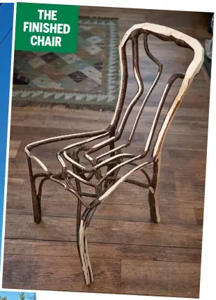 Chairs that grow on trees! - PressReader