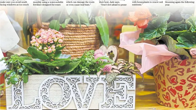 Give a lasting gift of love - PressReader