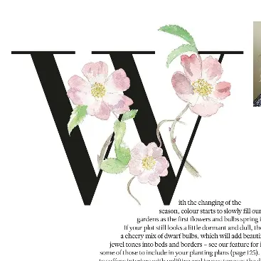 Editor’s Letter - PressReader