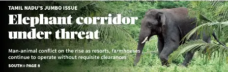 Elephant corridor under threat - PressReader