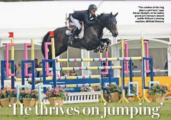 Showjumpin­g - PressReader
