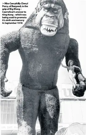 ‘The high street has never recovered from the consumer revolution begun ...