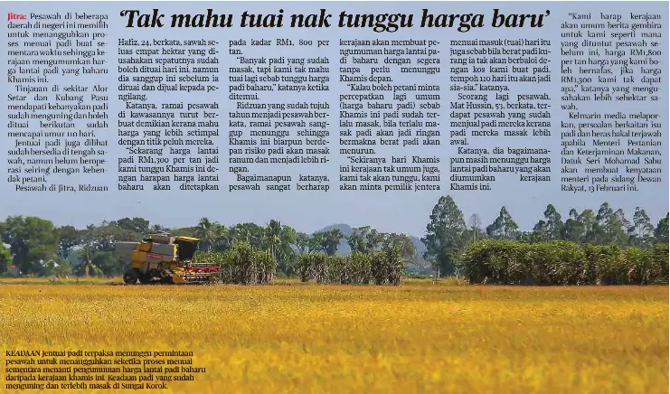 ‘Tak mahu tuai nak tunggu harga baru’ - PressReader