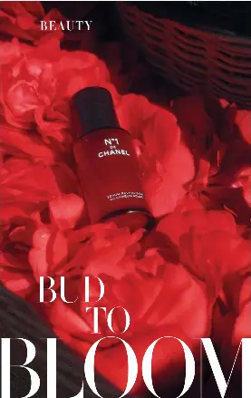 BUD TO BLOOM - PressReader