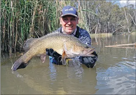 Murray cod season opens with new research - PressReader