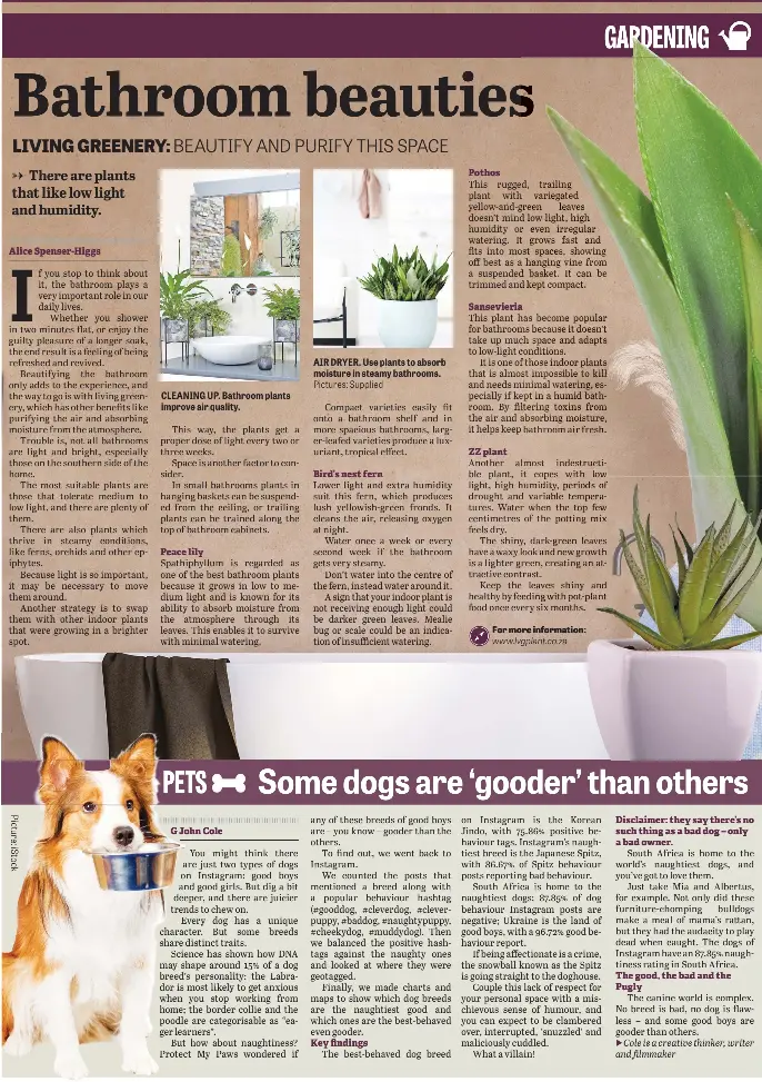 Bathroom beauties - PressReader