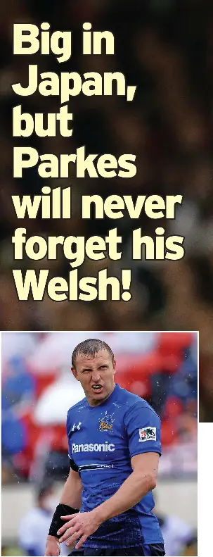Big in Japan, but Parkes will never forget his Welsh! - PressReader