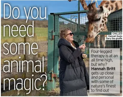 Do you need some animal magic? - PressReader