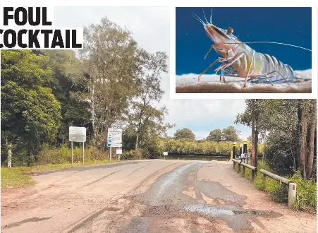 LOGAN’S FOUL PRAWN COCKTAIL - PressReader