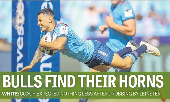 BULLS FIND THEIR HORNS - PressReader