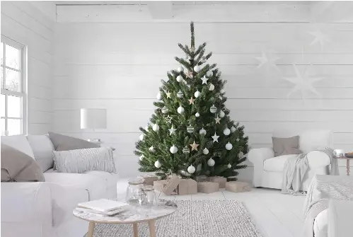 Keep it classy with festive decor - PressReader