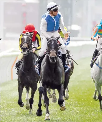 Guyon eyes strong start, Vase glory with Sosie - PressReader