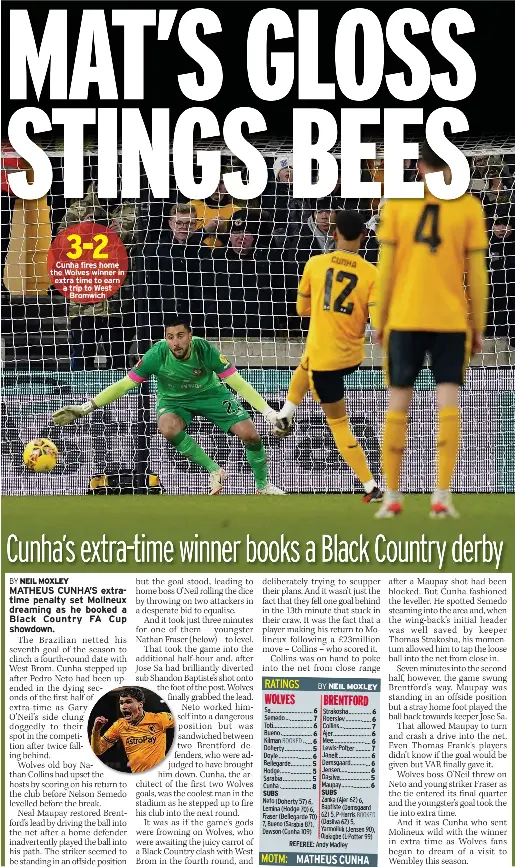 MAT’S GLOSS STINGS BEES - PressReader