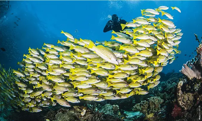 OFF THE CHARTS - PressReader