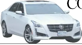 COMELY CADDY - PressReader