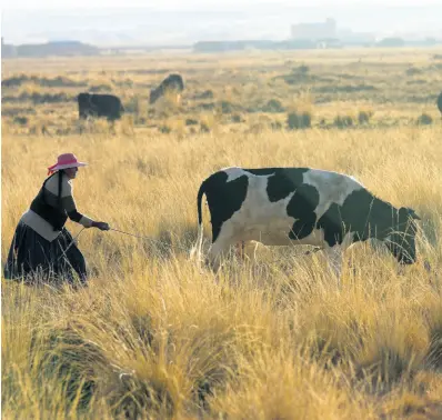 Latin America’s growth conundrum - PressReader