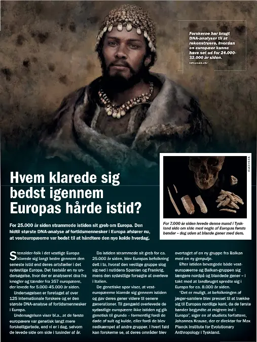 Hvem klarede sig bedst igennem Europas hårde istid? - PressReader