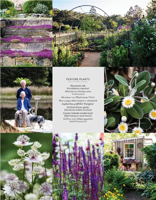 FEATURE PLANTS - PressReader