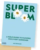 Bloomin’ beautiful - PressReader