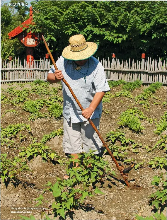 Traditiona­l Māori tools - PressReader