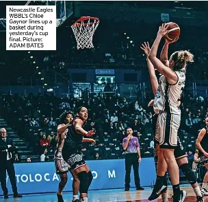 My Eagles will fly again, says new playcaller - PressReader