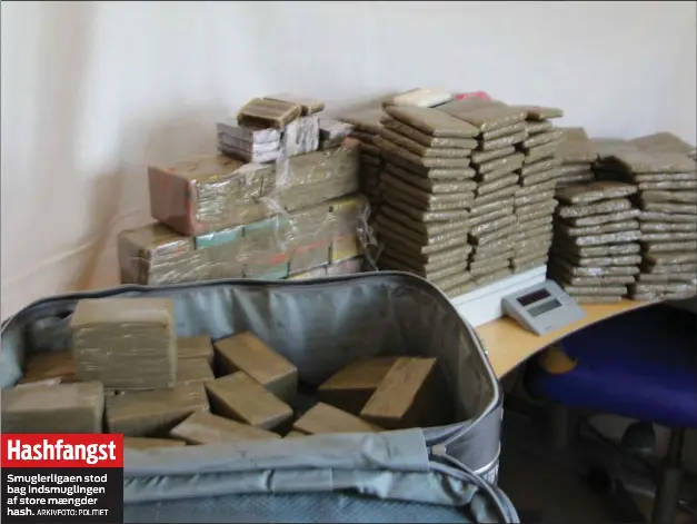 GEMTE HASH I GRISETRANS­PORT - PressReader