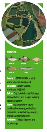 Bluebell Lakes - PressReader