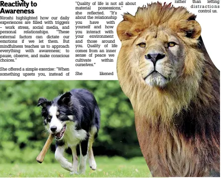 The Lion s Mindset - PressReader