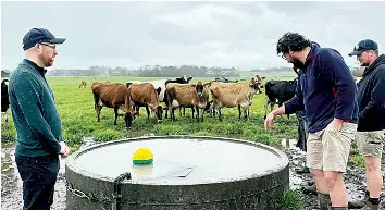 Keeping cows cool - PressReader