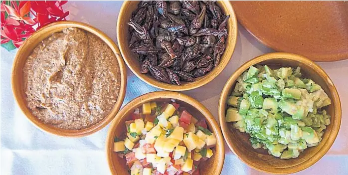 El mundo al plato - PressReader