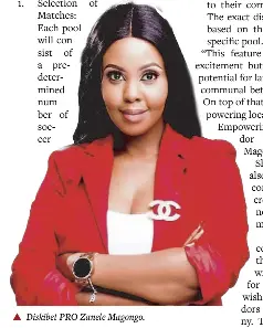 Diskibet to launch exciting new pools netting feature, vendor ...