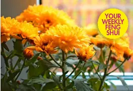 FLOWER POWER - PressReader