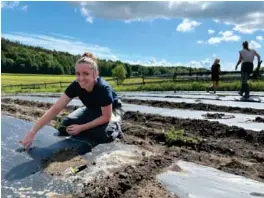 Gratis ferieform få nordmenn benytter seg av i eget land - PressReader