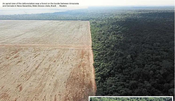 Brazil builds a new bioeconomy - PressReader