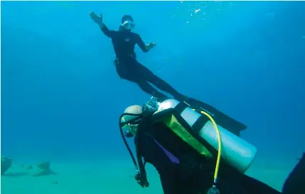 Israel’s Hamas attack survivors find solace underwater - PressReader