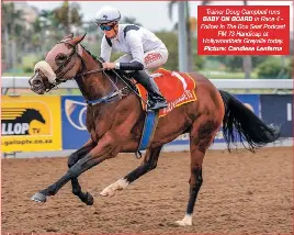 Valli Gal looks the part - PressReader