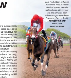 I am Fred should show up for Eros Trophy - PressReader