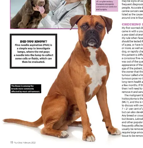 CANINE CANCER - PressReader