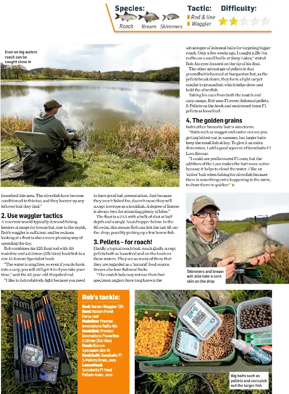 Big roach on pellets - PressReader