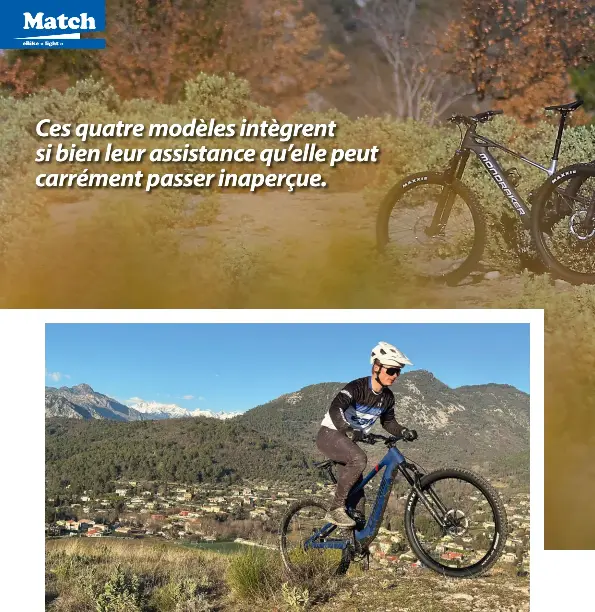 Verdict performanc­e - PressReader