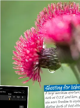 Does maximum aperture matter? - PressReader