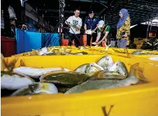 LKIM: Kuala Kurau fish landing complex to serve as strategic export hub ...