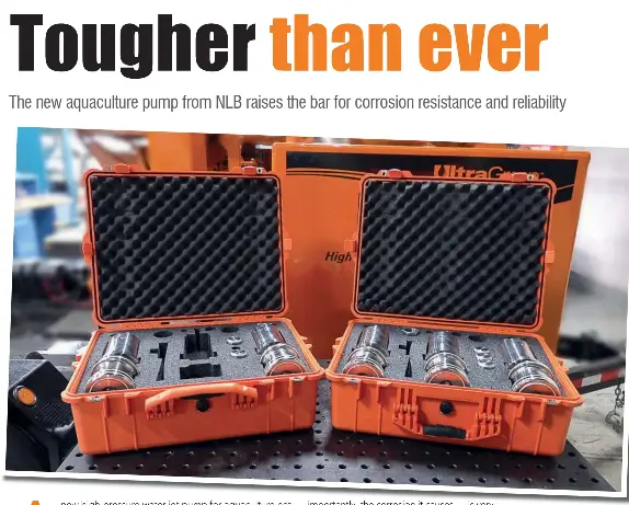 Tougher than ever - PressReader