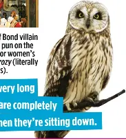 FANCY THAT! - PressReader