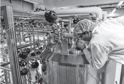 Mass commercial­ization of lab meat decade away - PressReader