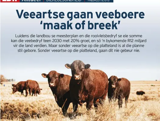 Veeartse gaan veeboere ‘maak of breek’ - PressReader