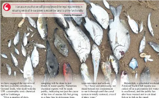 Facing NEMA - PressReader