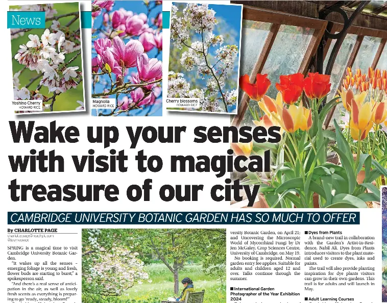 Wake up your senses with visit to magical treasure of our city ...